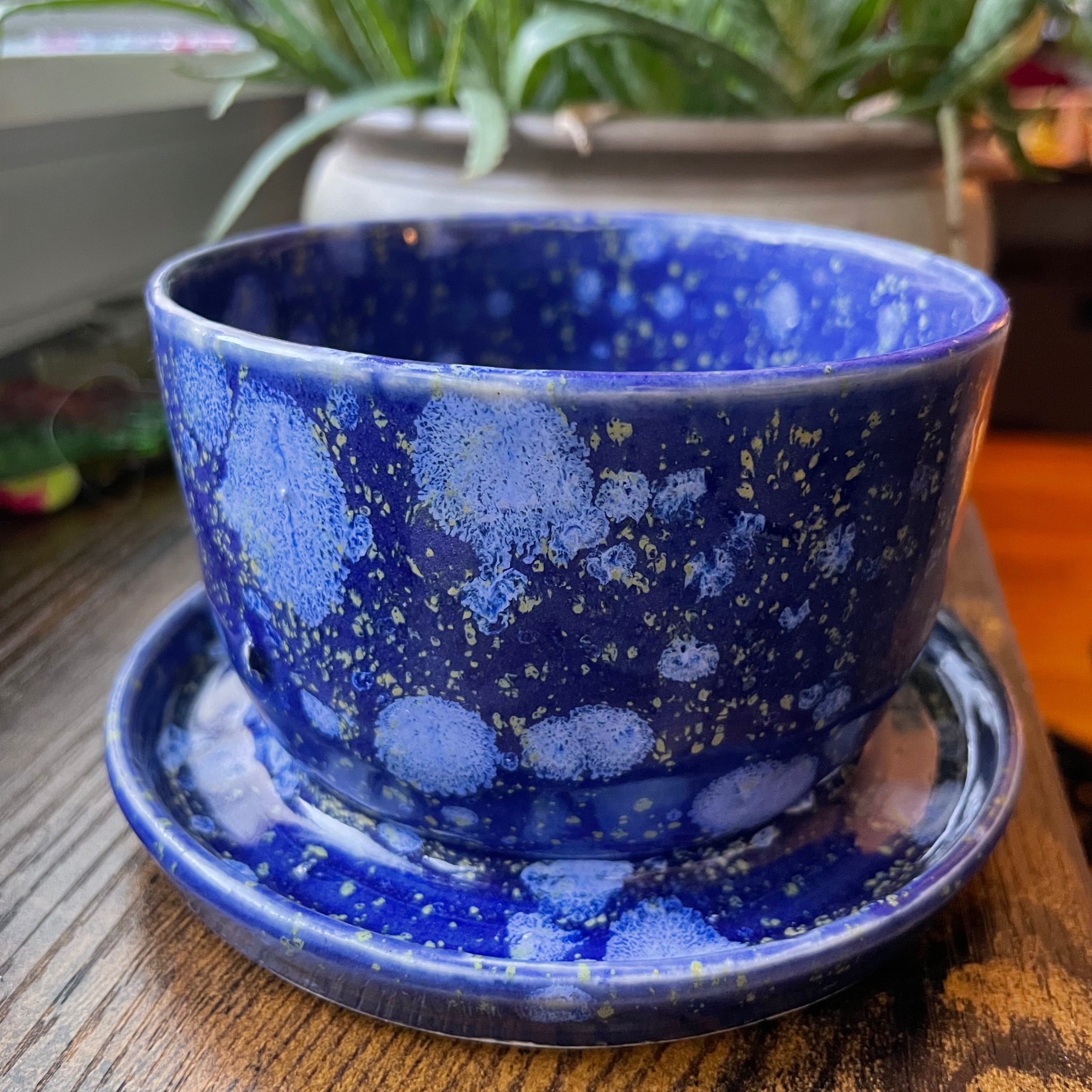 Indigo Float under Blue Hydrangea | glazeshare